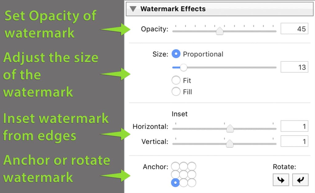 How to Build Watermarks in Lightroom - Go Ask Erin