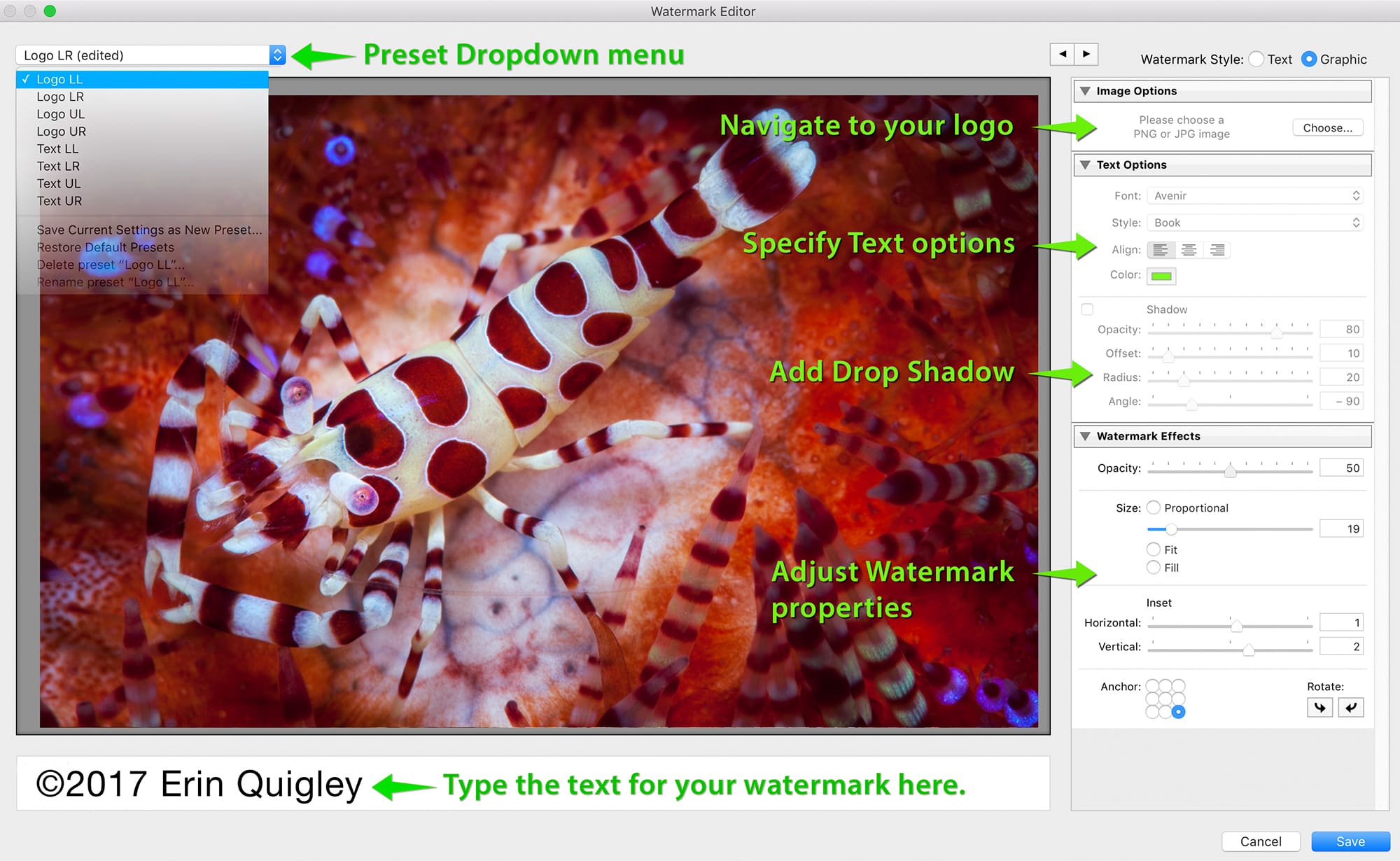 How to Build Watermarks in Lightroom - Go Ask Erin