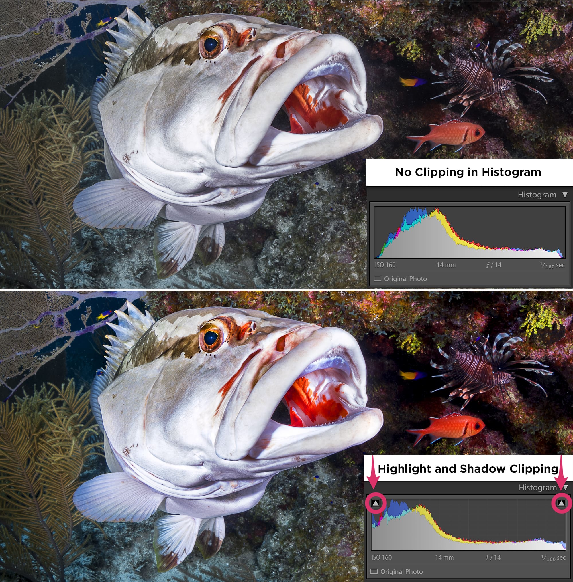 Avoiding Rookie Mistakes Go Ask Erin