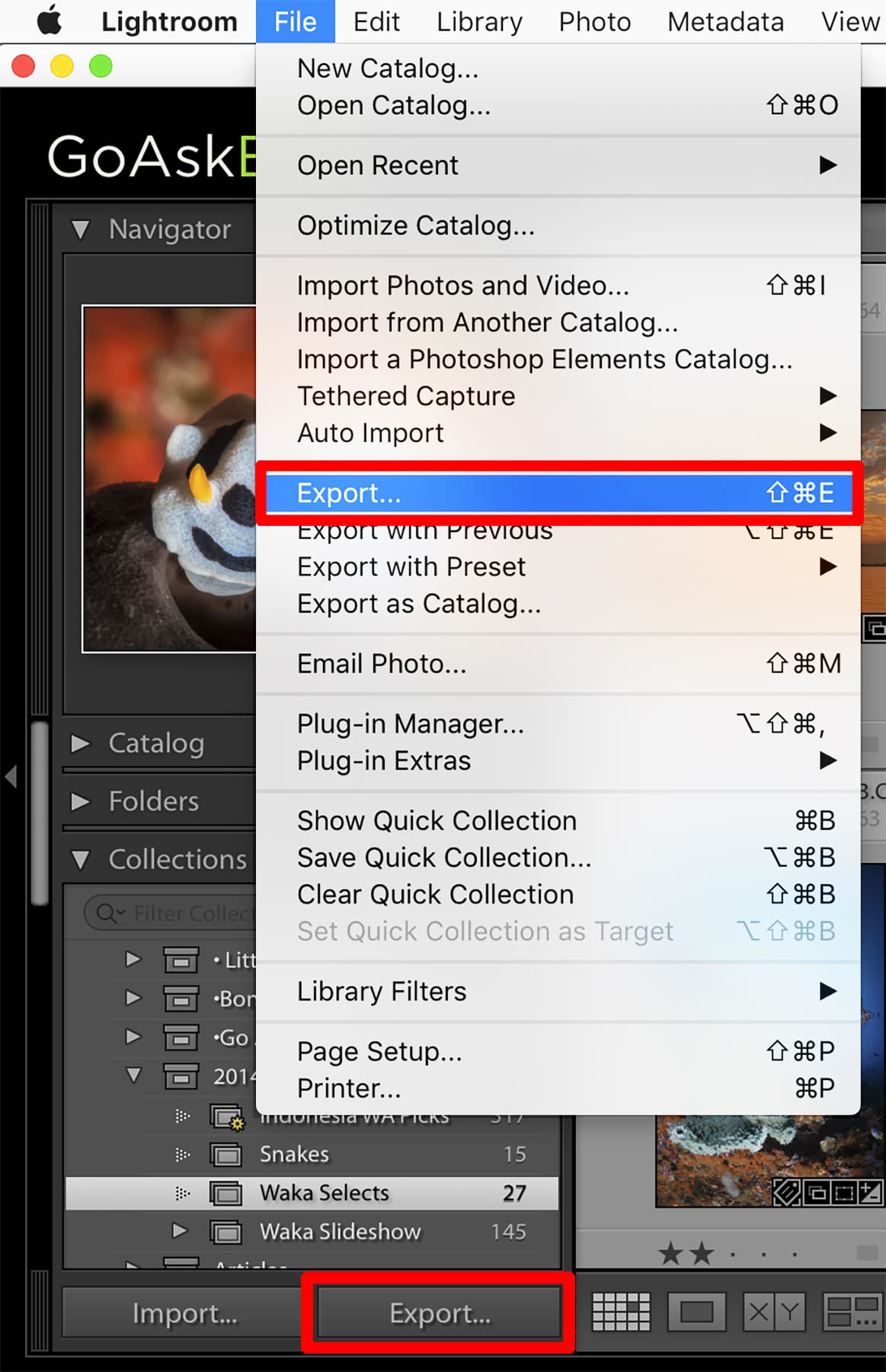The Export Module - A Basic Guide to Getting Your Images Out of ...