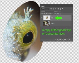Compositing 101 - Go Ask Erin