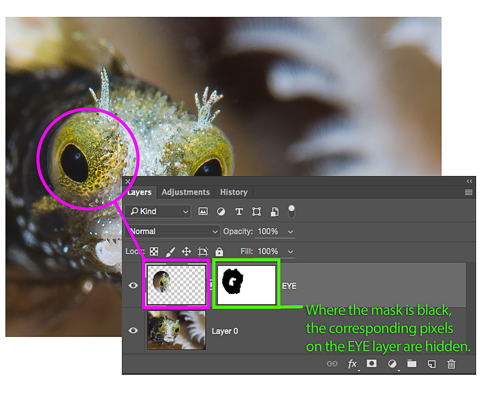 Compositing 101 - Go Ask Erin