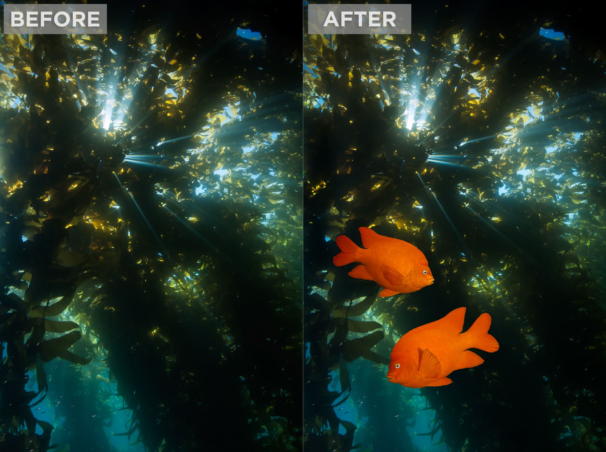 Compositing 101 - Go Ask Erin