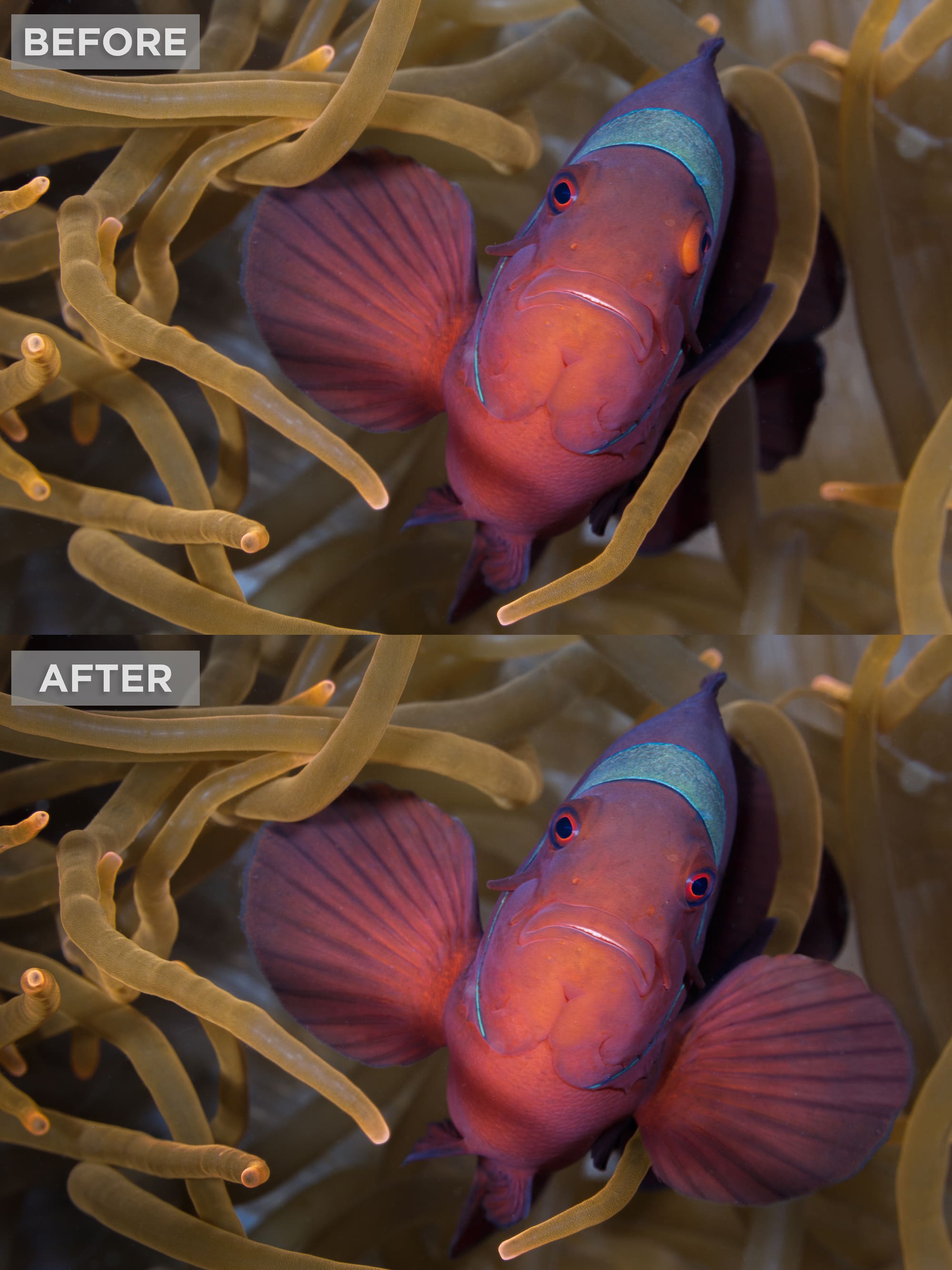 Compositing 101 - Go Ask Erin