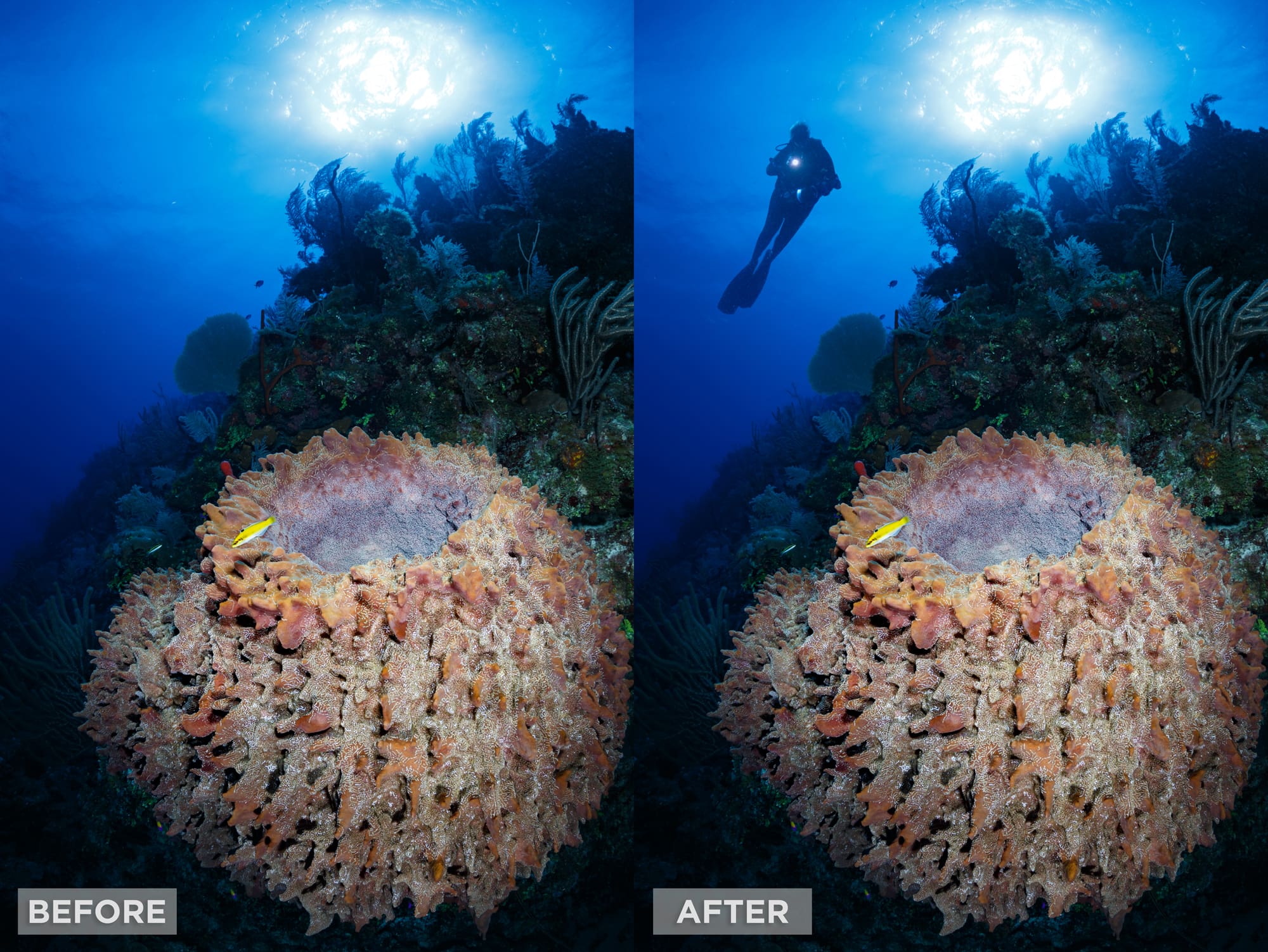 Compositing 101 - Go Ask Erin