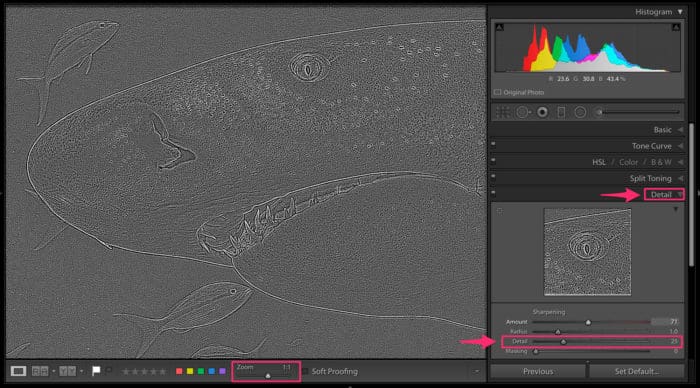 Detail Oriented - Getting Tack Sharp Images in Post with the Detail ...