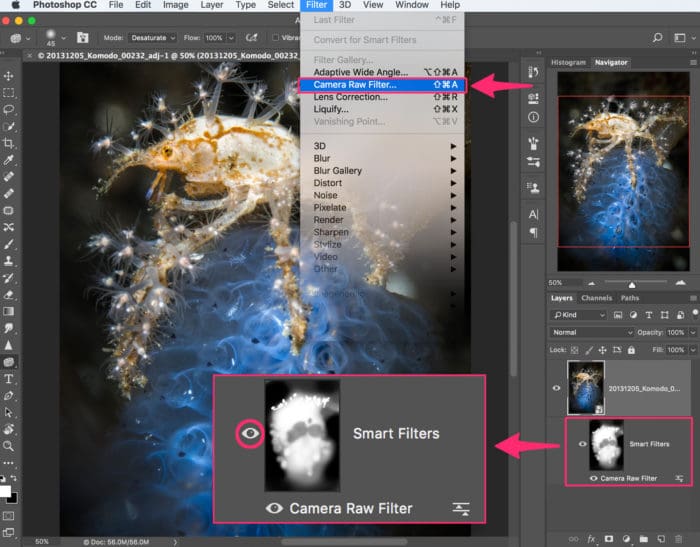 Detail Oriented - Getting Tack Sharp Images in Post with the Detail ...