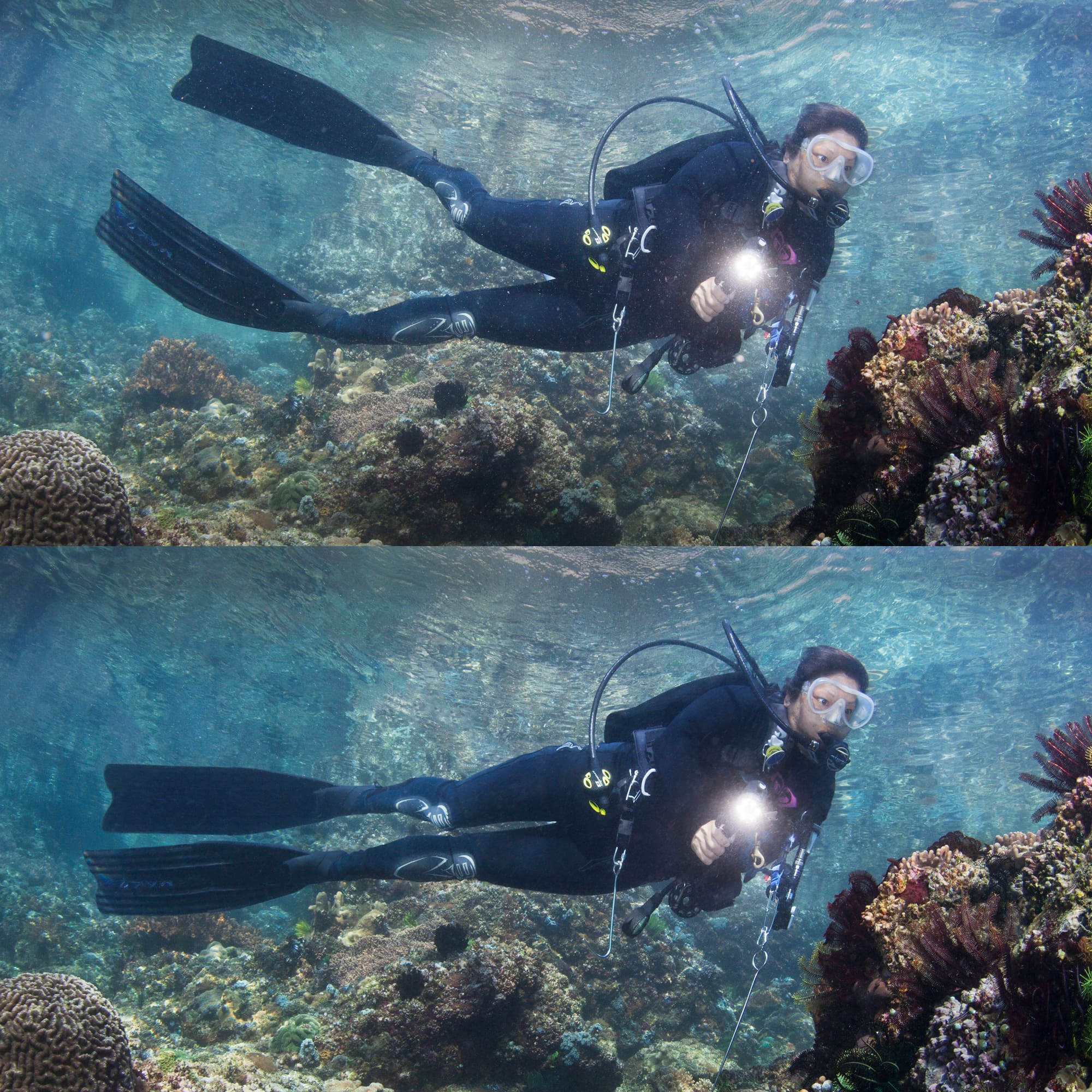 Puppet Warp - Go Ask Erin