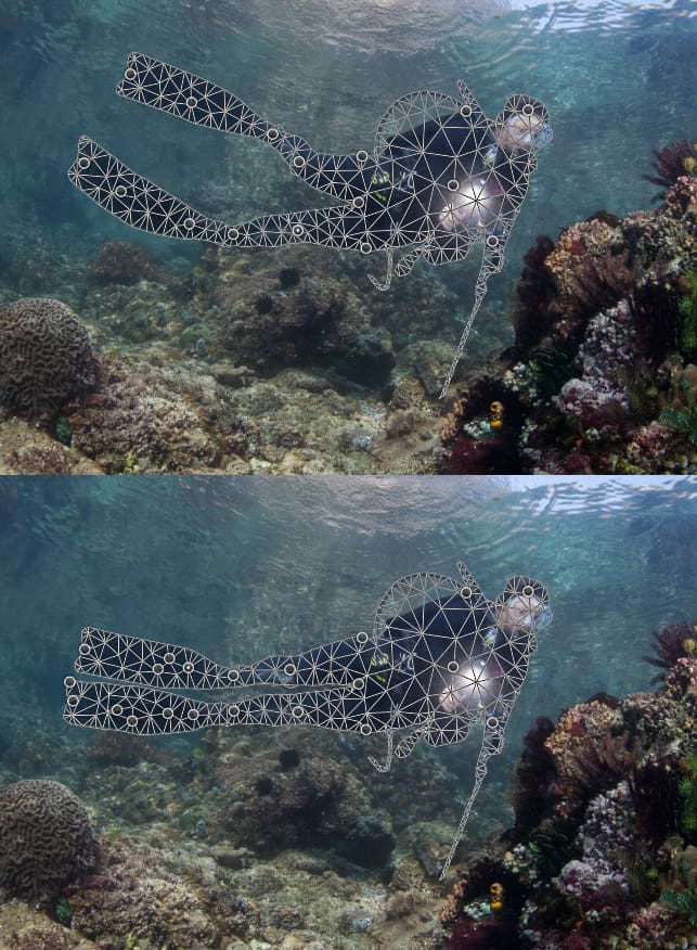 Puppet Warp - Go Ask Erin