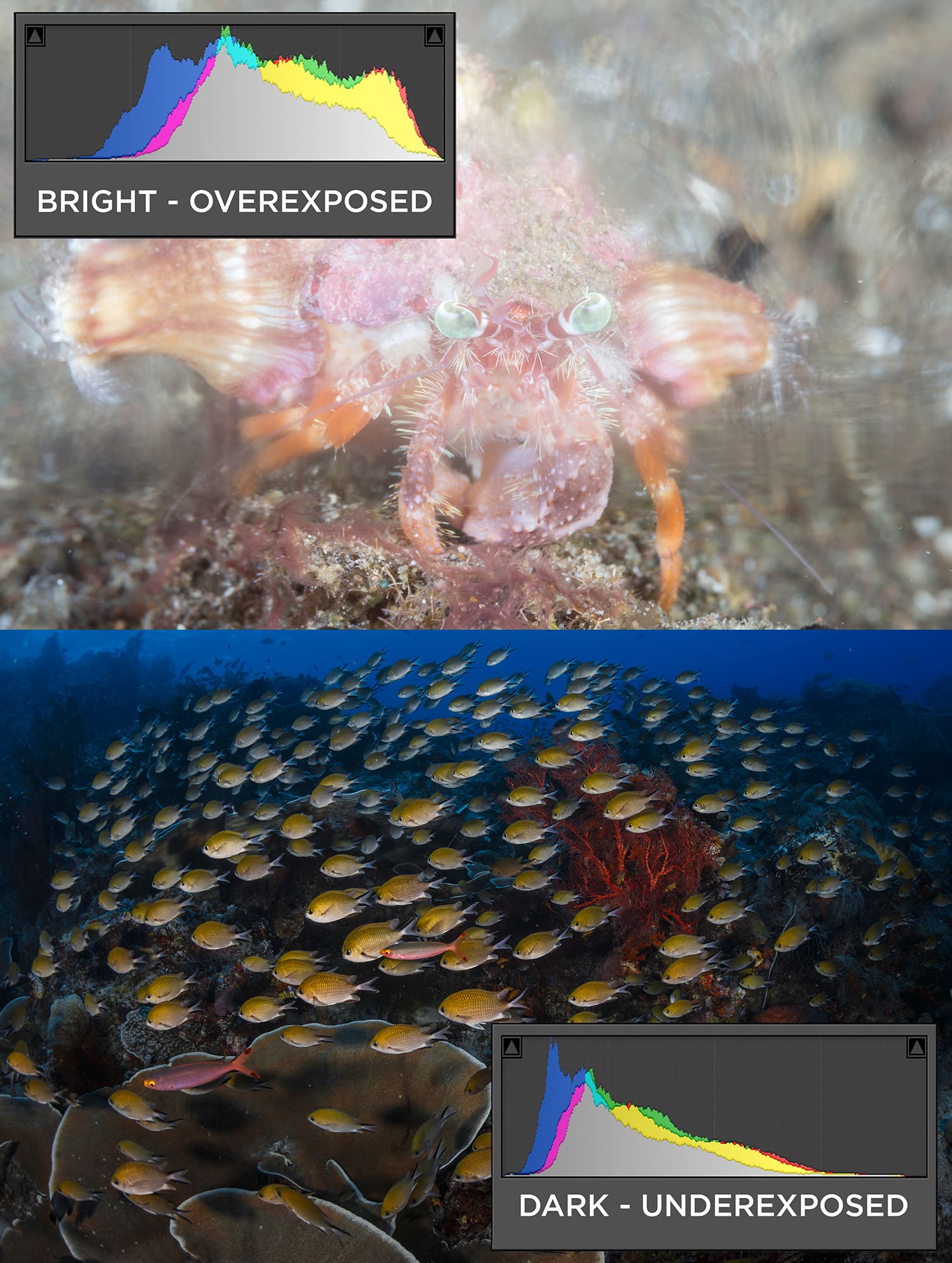 Mastering a Develop Module Workflow - Go Ask Erin