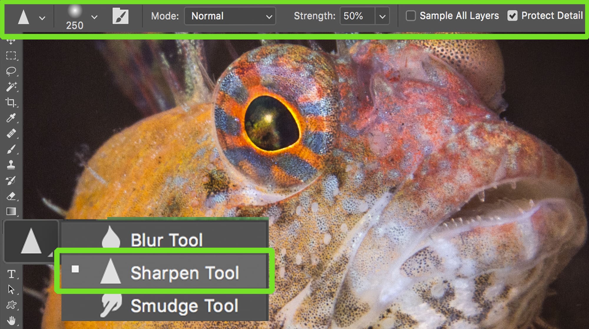 Fixed Focus - How to Sharpen Out-of-Focus Eyes Using Photoshop - Go Ask ...