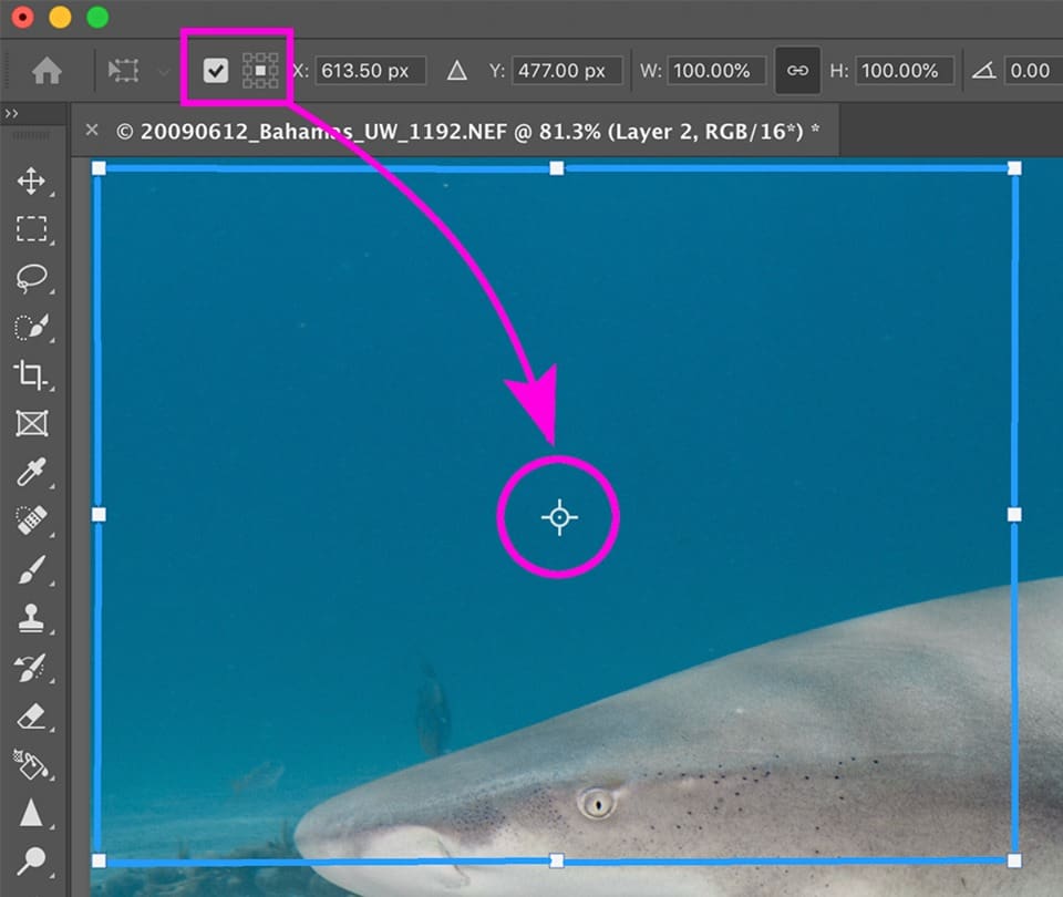 Nerd Alert! Photoshop CC Visibility of the Reference Point - Go Ask Erin