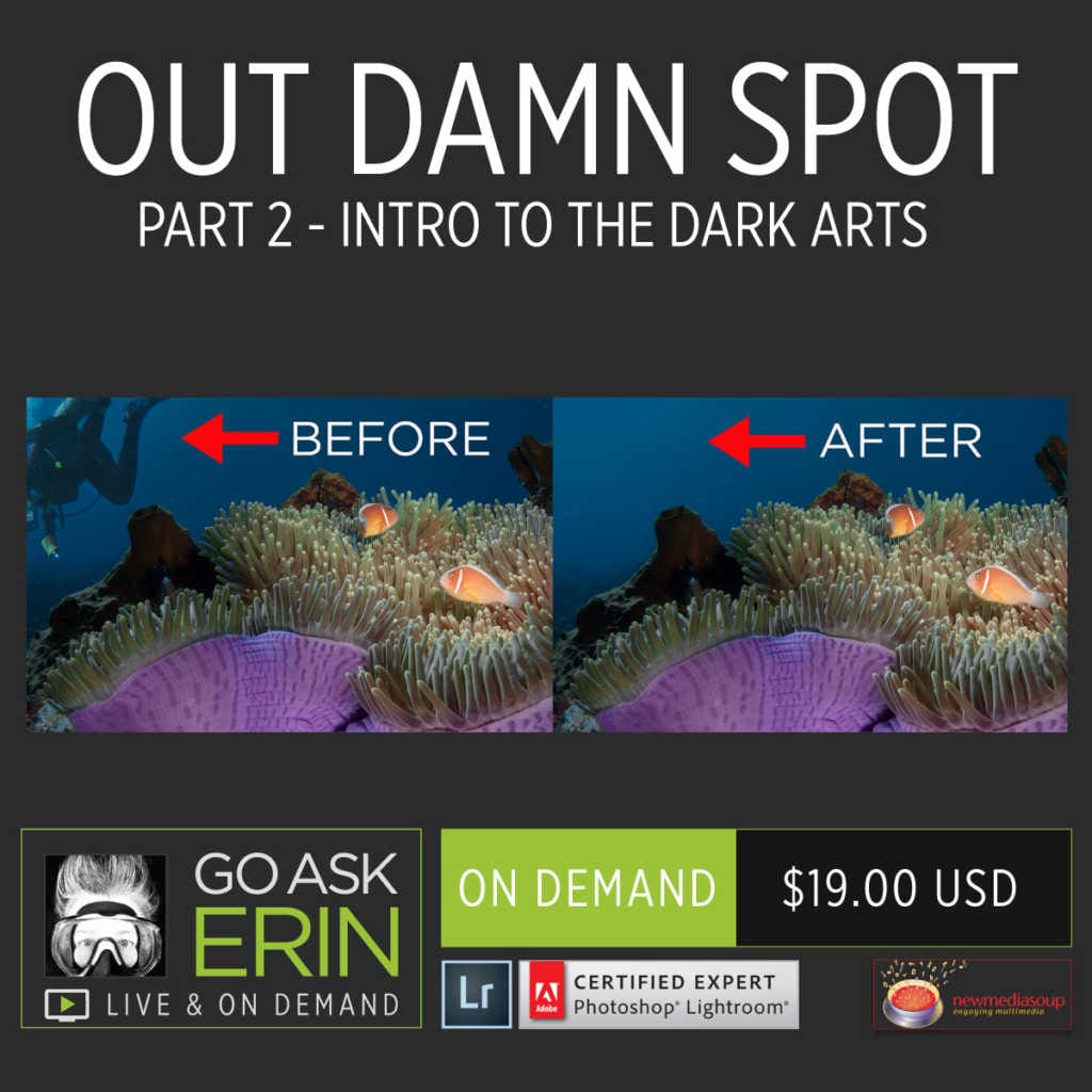 Out Damn Spot! - Go Ask Erin