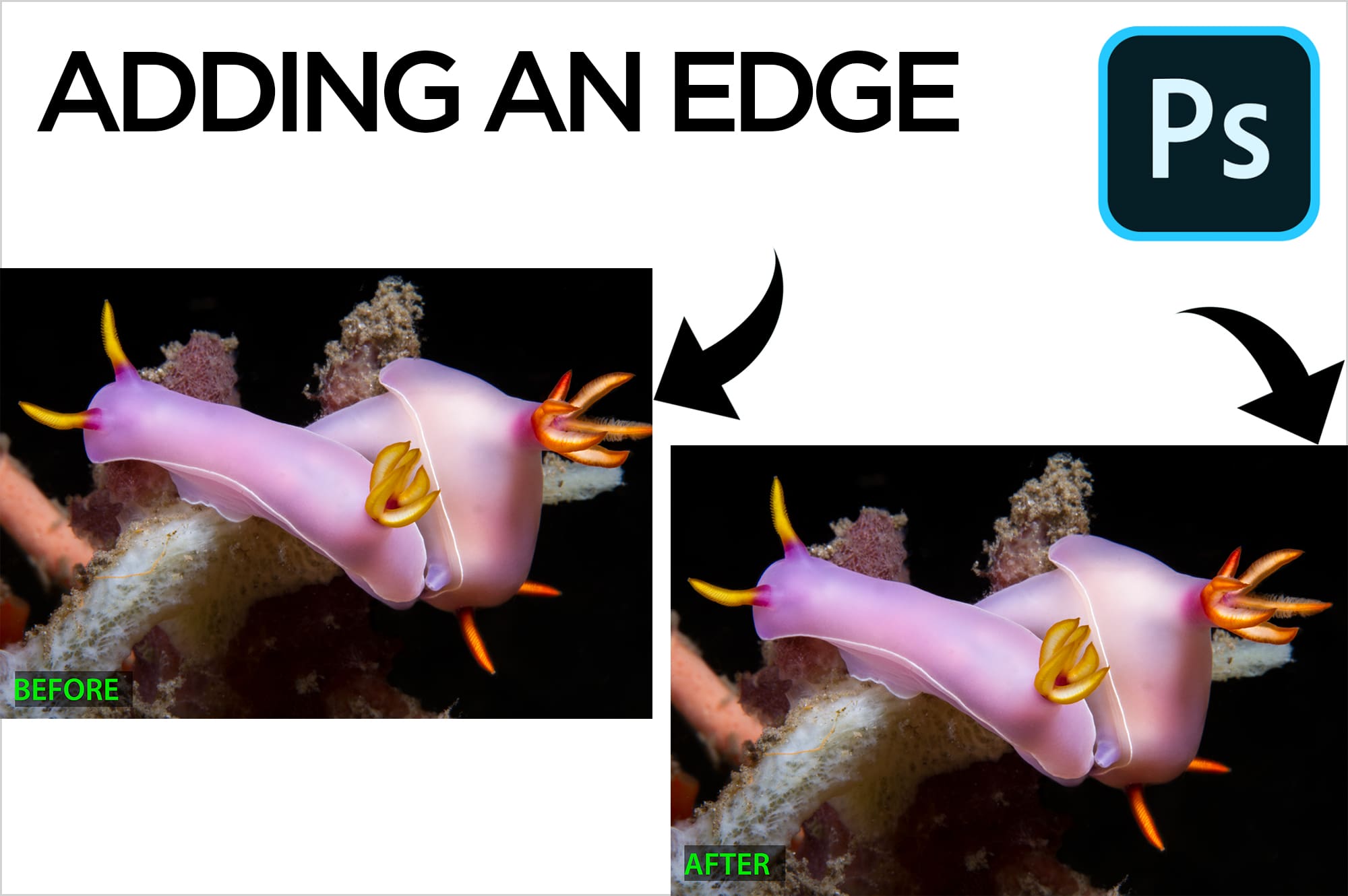 Adding an Edge - Go Ask Erin