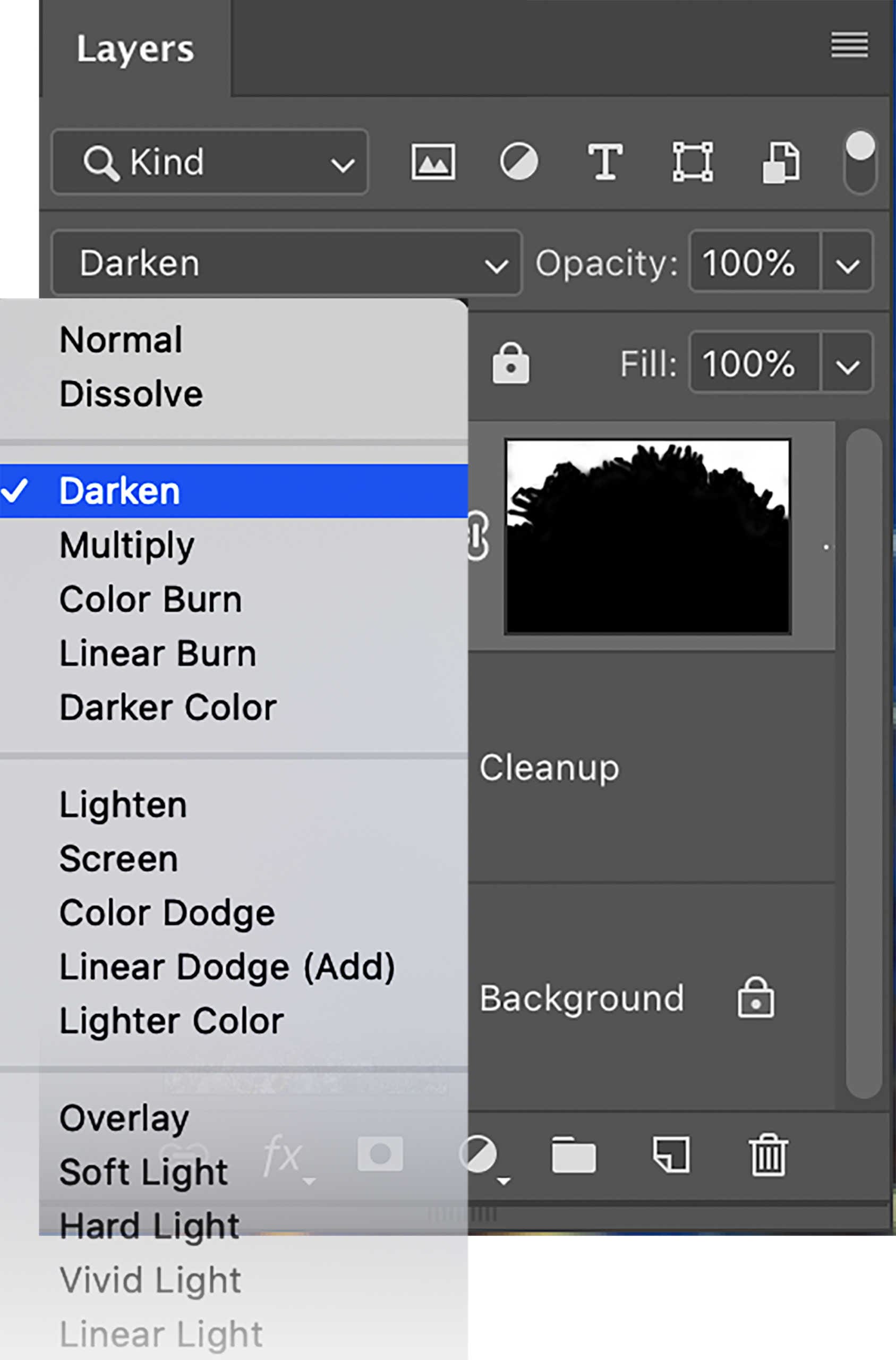 Spot Check - Go Ask Erin
