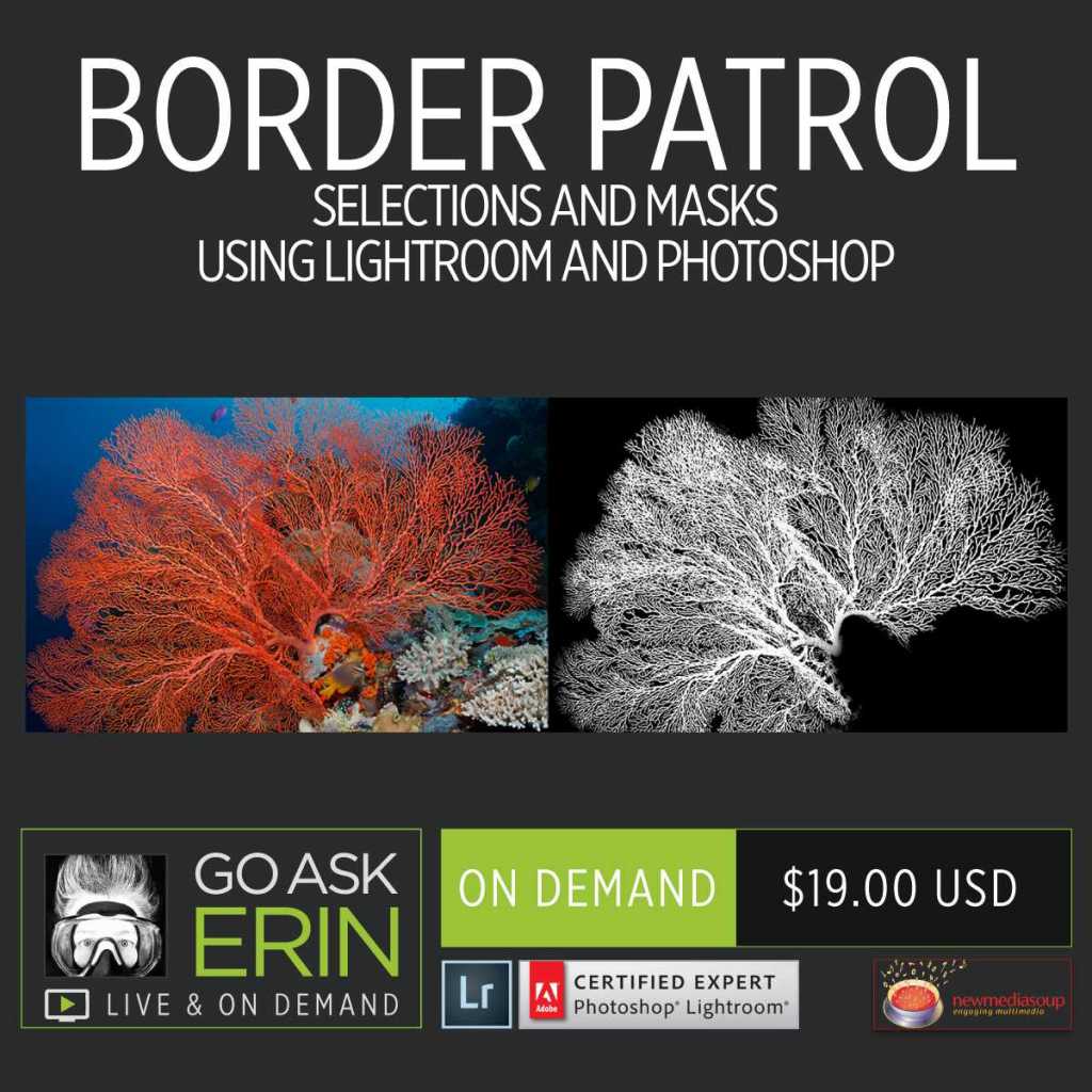 Border Patrol – Selections and Masks using Lightroom and Photoshop - Go ...